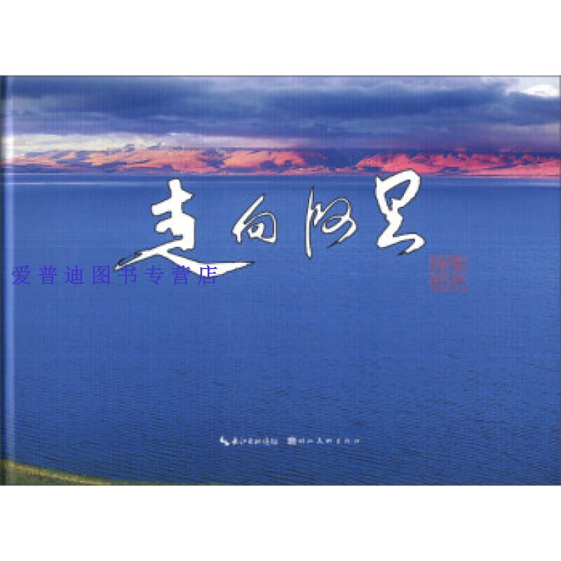 走向阿里（小处内容保证） 张元辉【好书，下单速发】