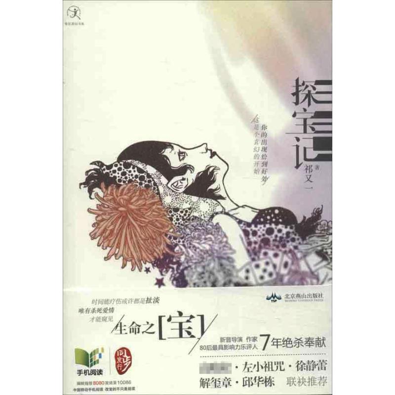 探宝记