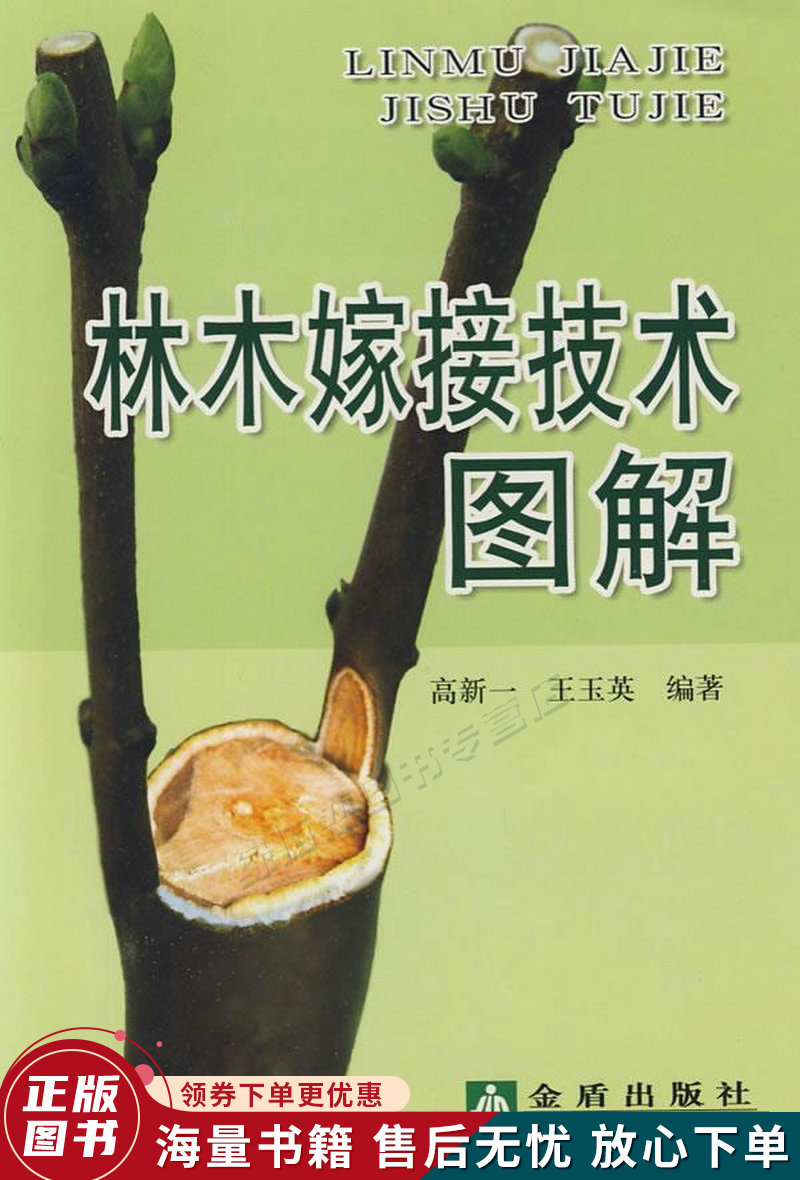 林木嫁接技术图解