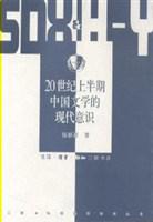 20世纪上半期中国文学的现代意识 张新颖【好书，下单速发】