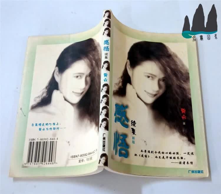 旧书 感悟续集新版 菀云著 广州出版社 1998年原版现货