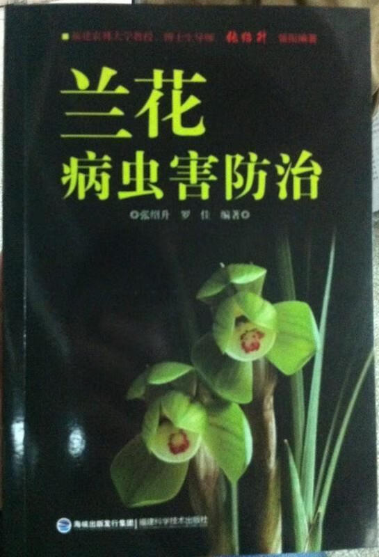 兰花病虫害防治