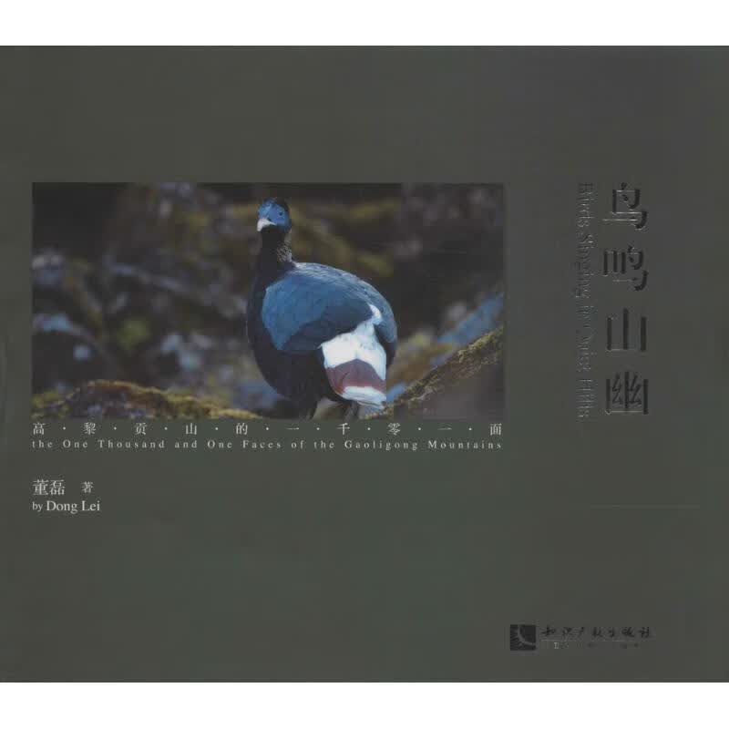鸟鸣山幽 董磊 著 知识产权出版社