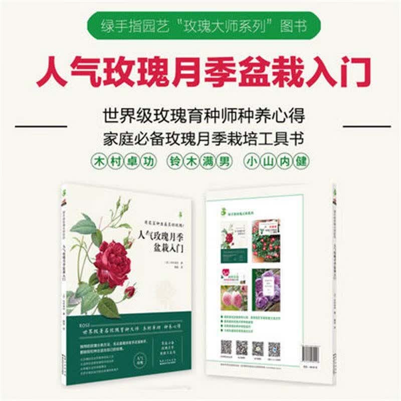 人气玫瑰月季盆栽入门