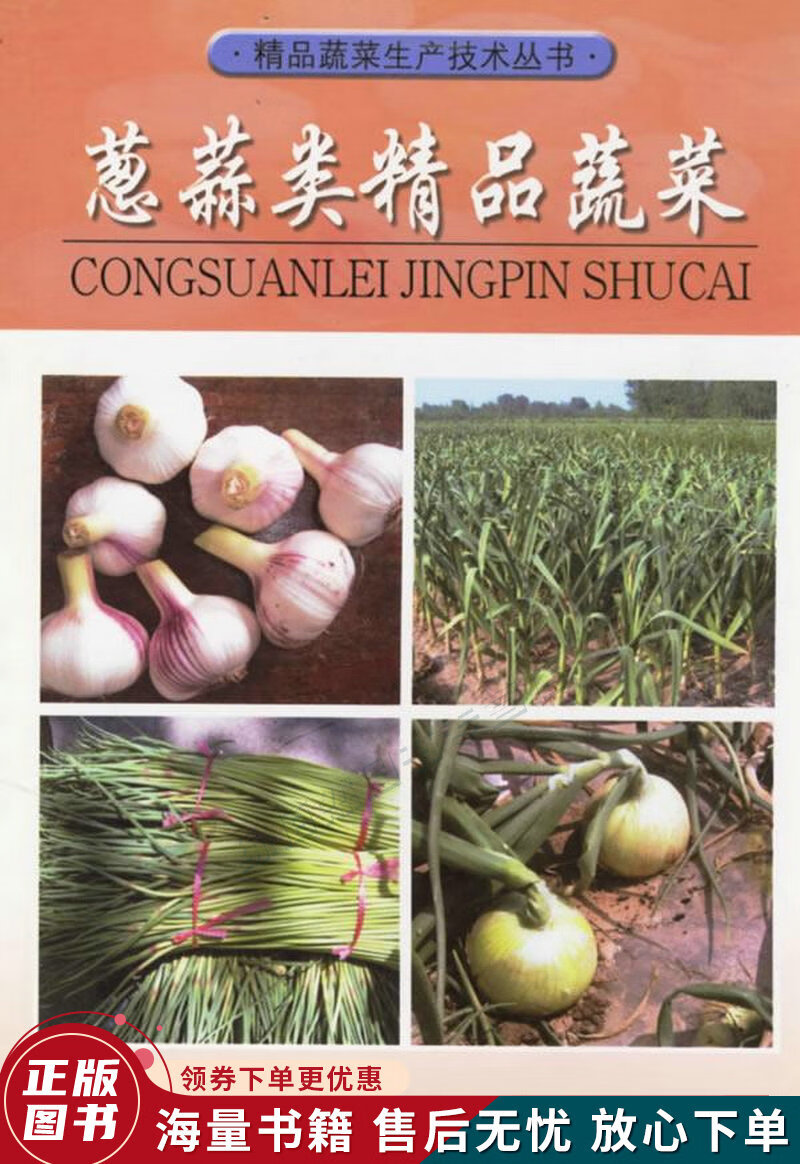 葱蒜类精品蔬菜