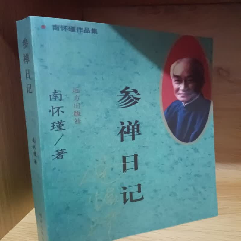 参禅日记 南怀瑾 远方出版社 1998