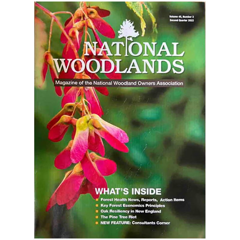 【单期可选】National Woodlands 林学动态 Spring 2021年 2022年2月刊