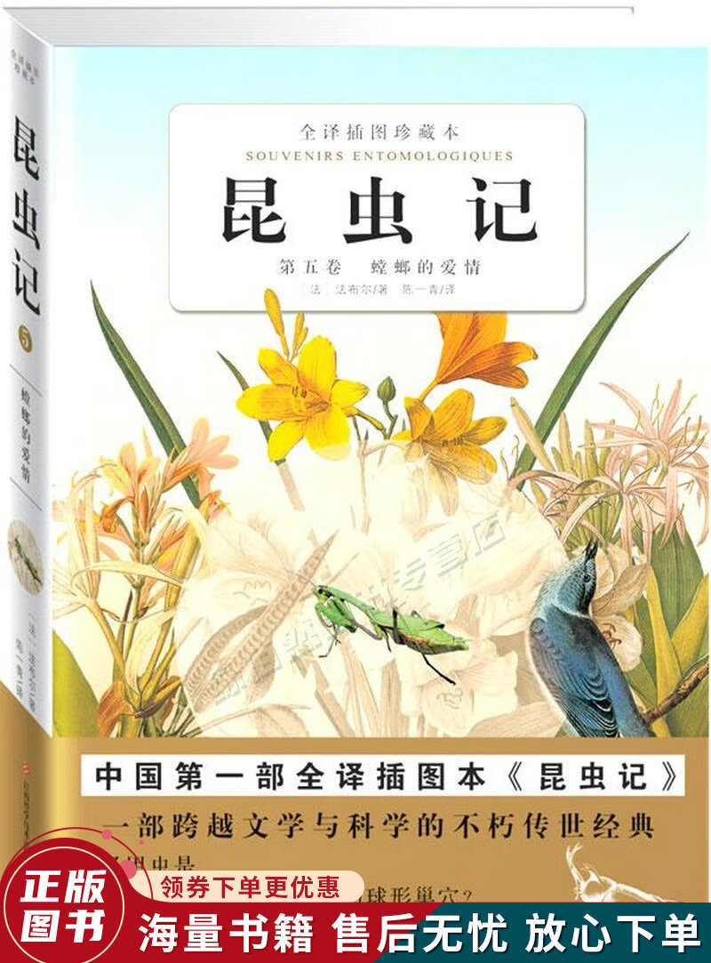 昆虫记：第五卷螳螂的爱情