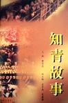 知青故事 曹淳亮