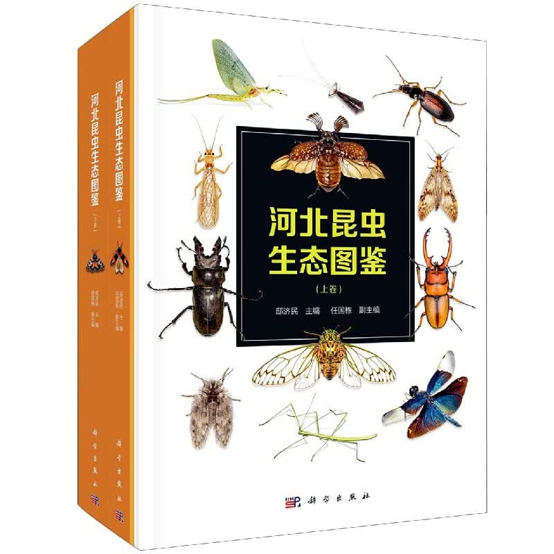 河北昆虫生态图鉴(上下)(精)