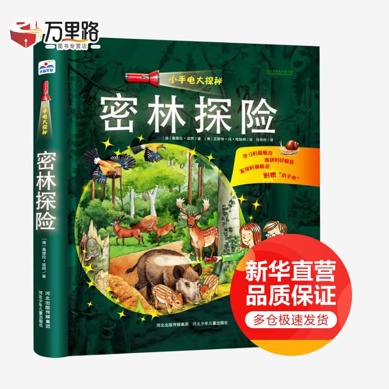 密林探险/小手电大探秘
