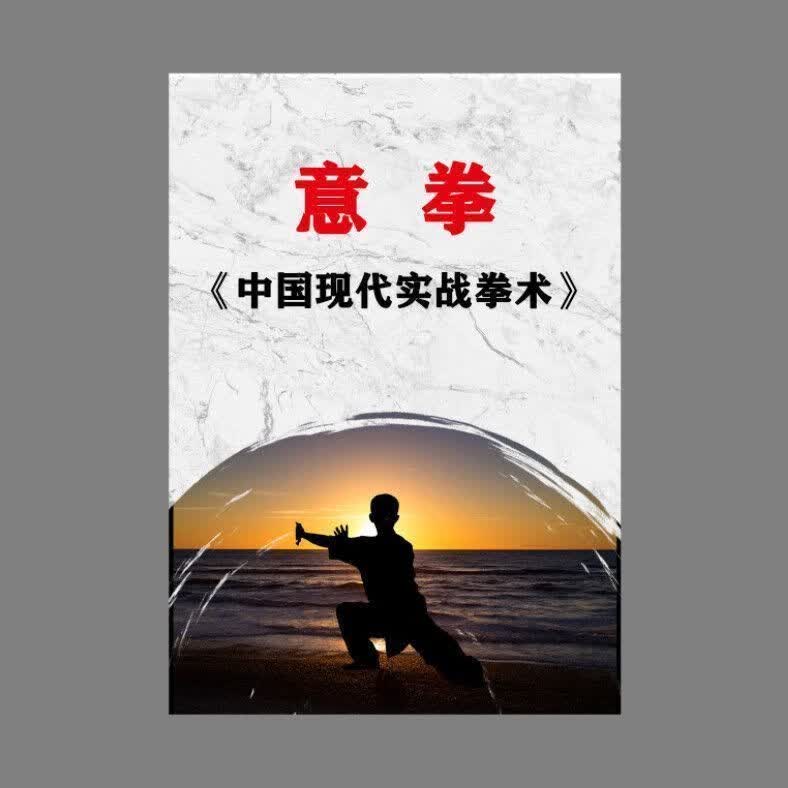 意拳 中国现代实战拳术 姚宗勋编著 166页