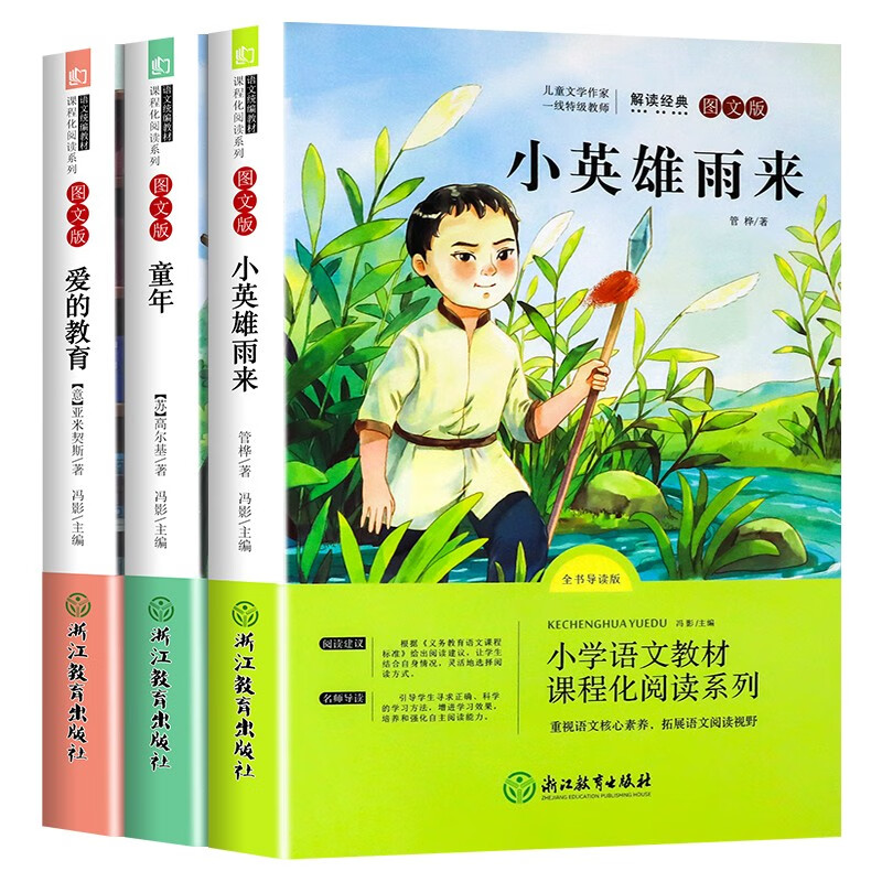 快乐读书吧六年级上册 小英雄雨来 爱的教育 童年