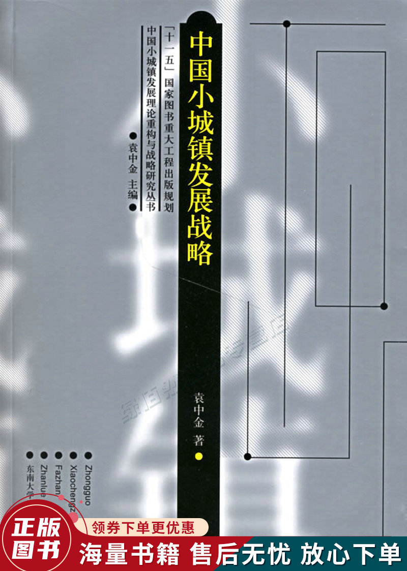 中国小城镇发展战略