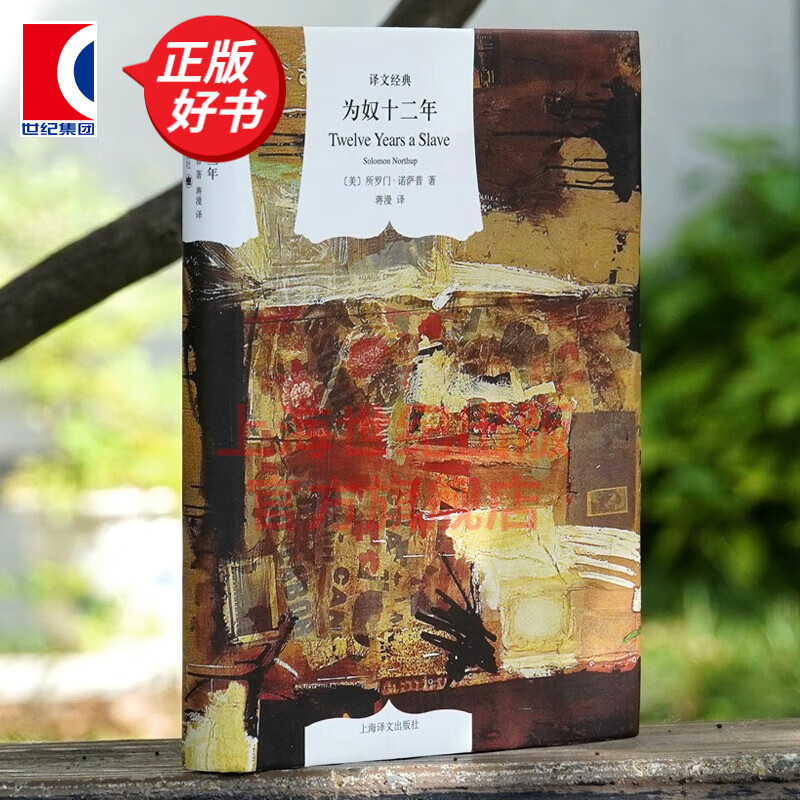 为奴十二年 所罗门诺萨普 蒋漫 奥斯卡获奖电影原著小说 美国历史教材重点书目  上海译文出版社