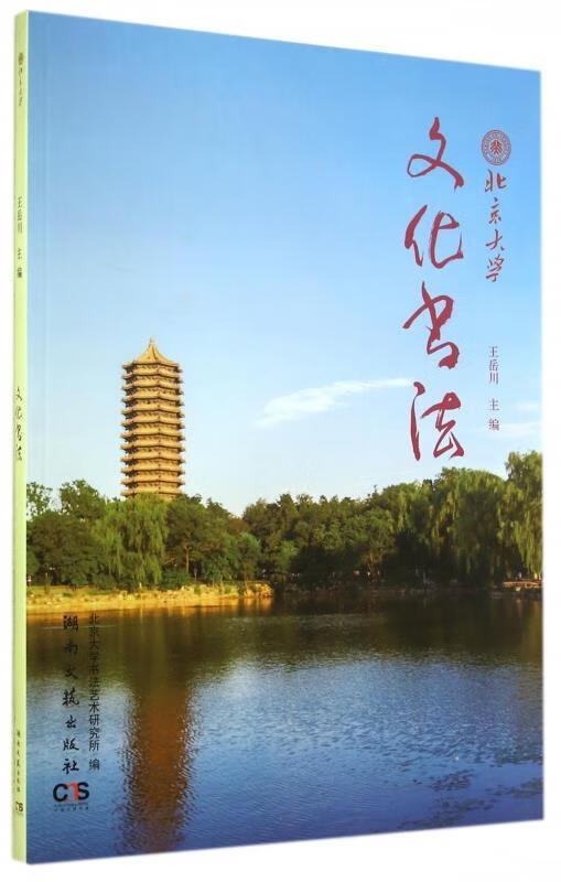 文化书法 王岳川