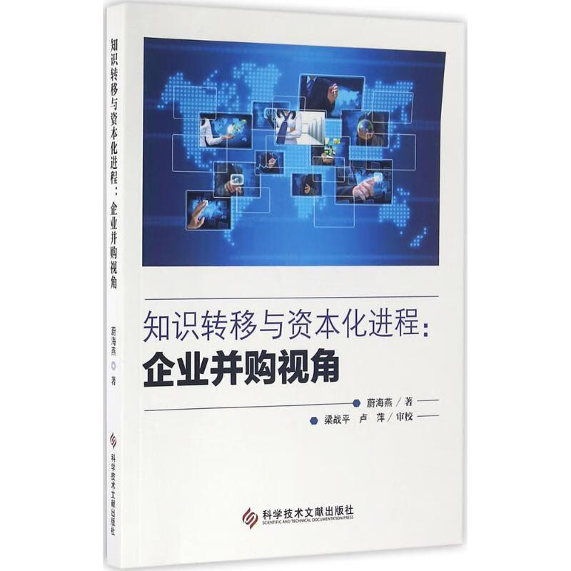 知识转移与资本化进程:企业并购视角 蔚海燕 著
