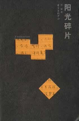 阳光碎片【好书】