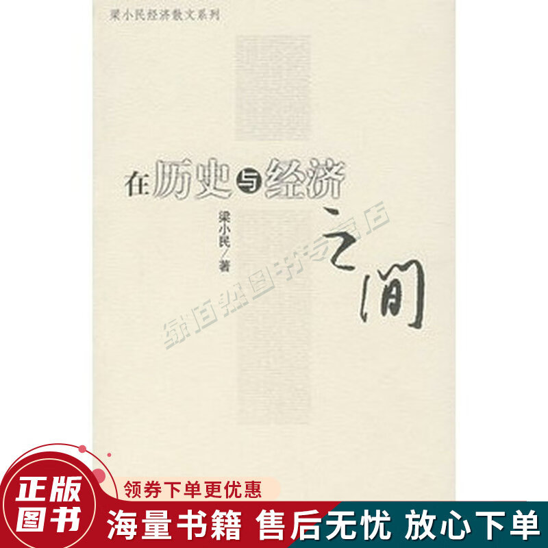 在历史与经济之间