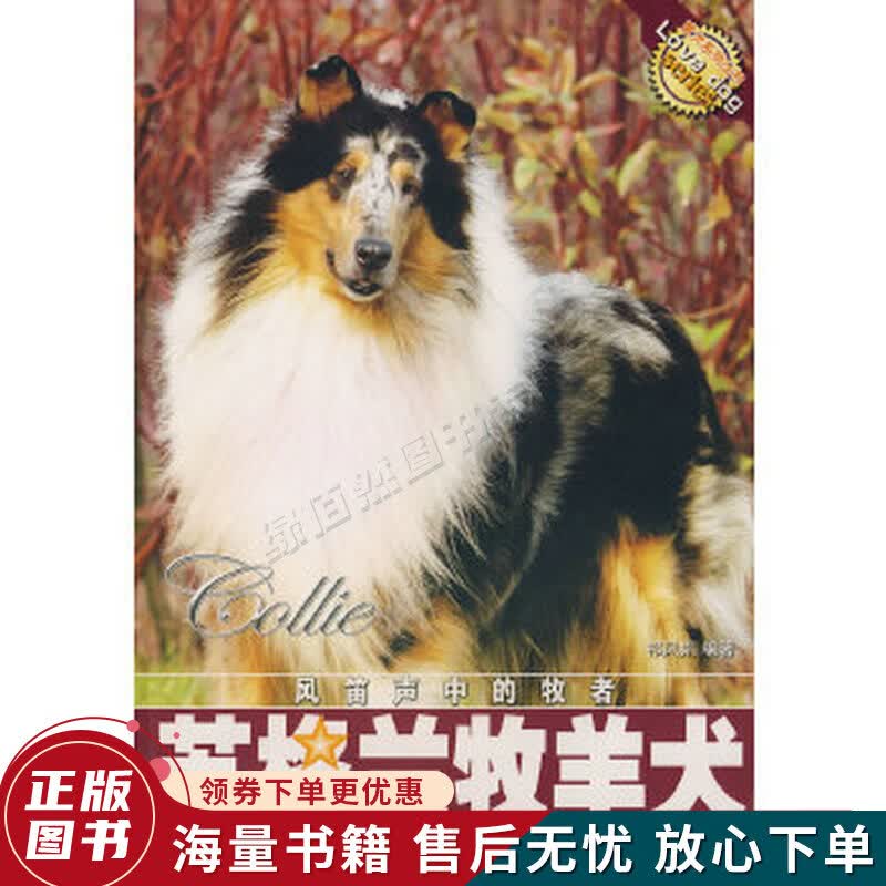 苏格兰牧羊犬