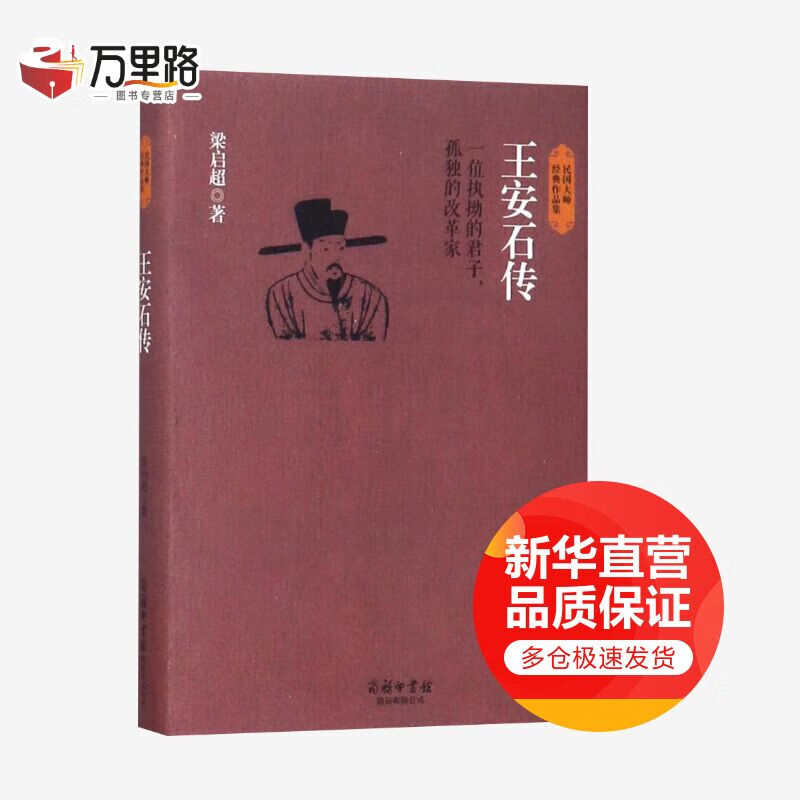 王安石传