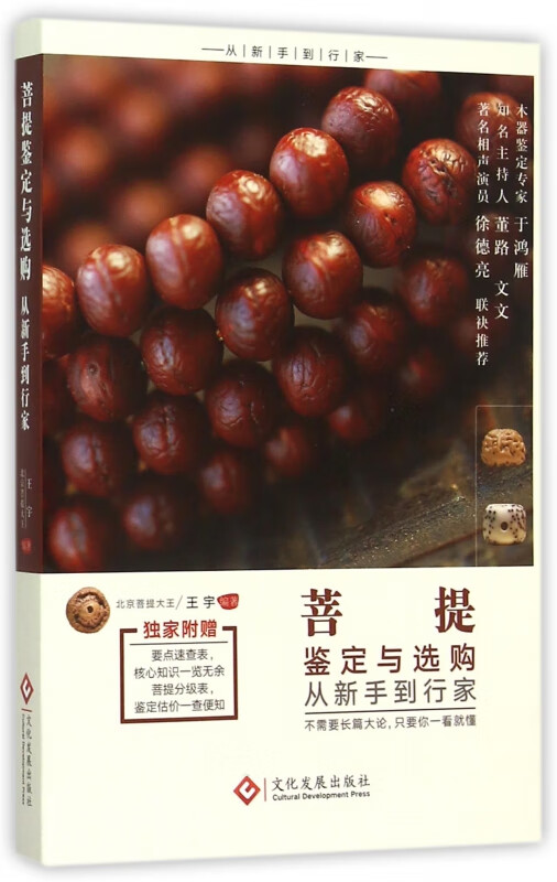 菩提鉴定与选购从新手到行家