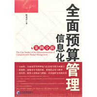 全面预算管理信息化案例分析