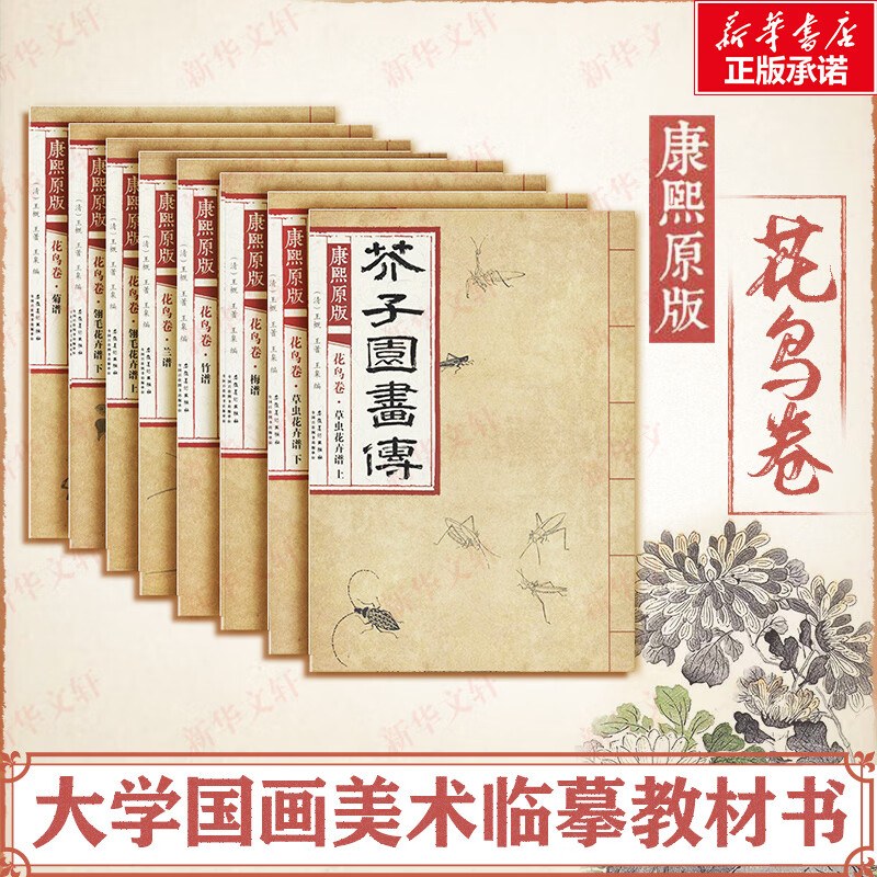 康熙原版芥子园画传 花鸟卷全8册 彩色版 花鸟卷.梅兰竹菊 草虫花卉 翎毛花卉谱 大学国画美术临摹教材书 花鸟卷全8册