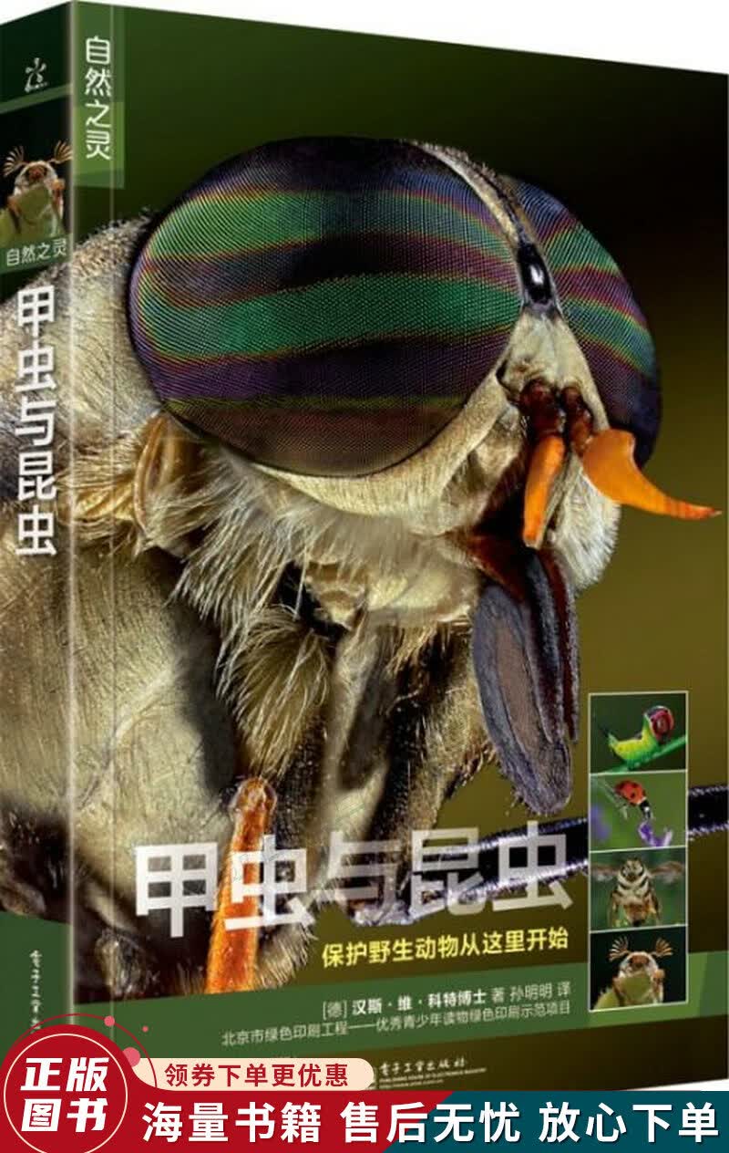 甲虫与昆虫