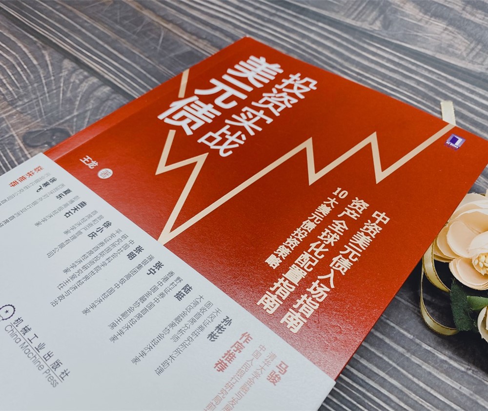 美元债投资实战 王龙 经济管理财政金融投资理财 中资美元债入场指南资产全球化配置指南10大美元债投资策略机械工业出版社