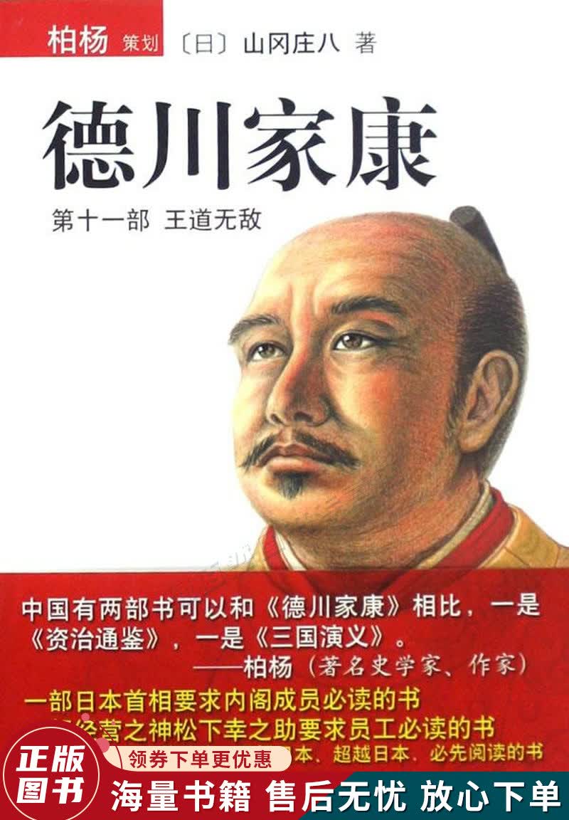 德川家康第十一部：王道无敌