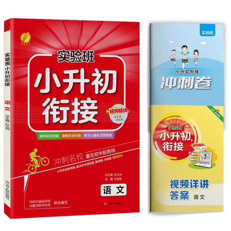 实验班小升初衔接教材 语文全国通用小升初总复习六年级毕业升学知识大全2023年秋季新版