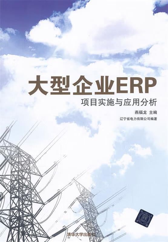 大型企业ERP项目实施与应用分析