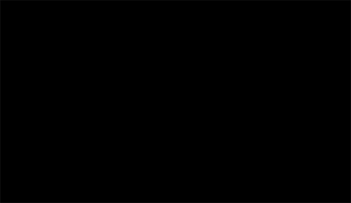 刘小姐 法图麦·李 9787570206964
