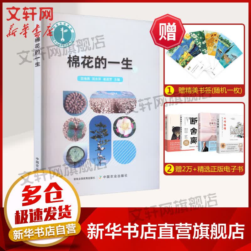棉花的一生 图书