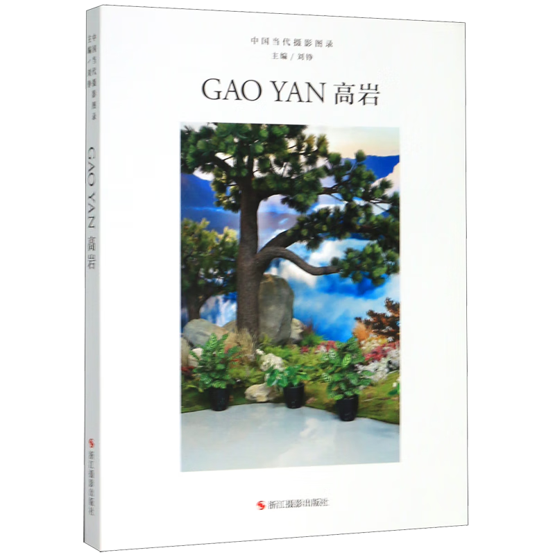高岩(精)/中国当代摄影图录