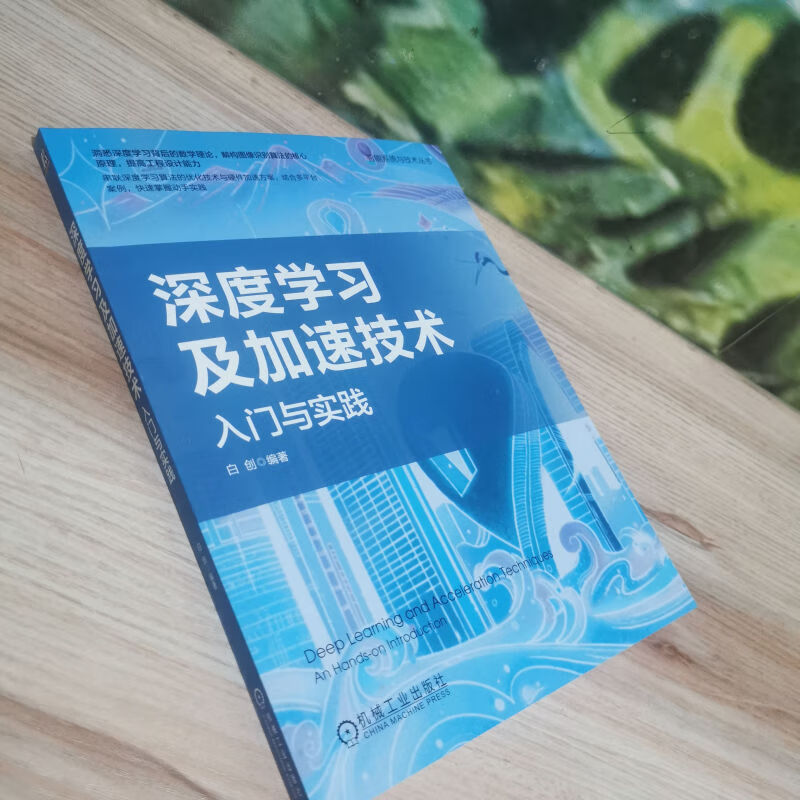 深度学习及加速技术 入门与实践 图书
