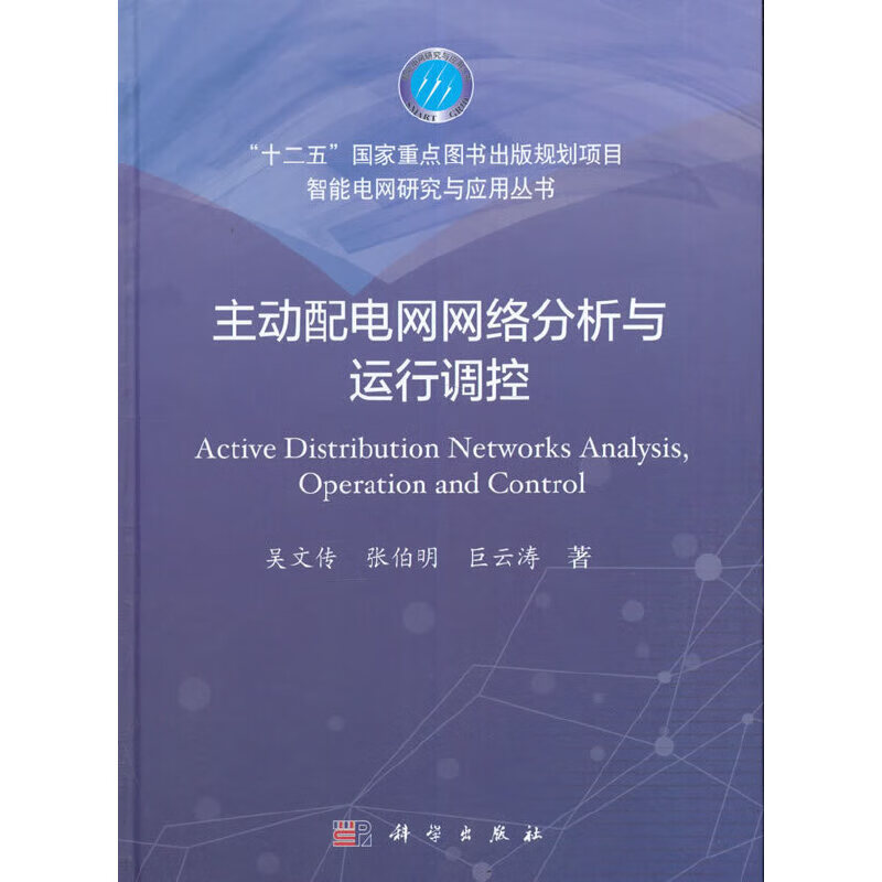 主动配电网网络分析与运行调控