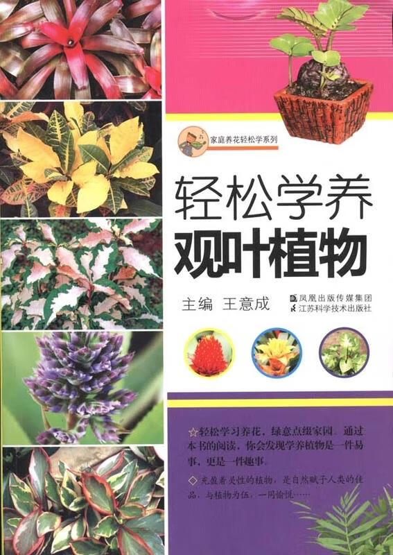 轻松学养观叶植物 王意成