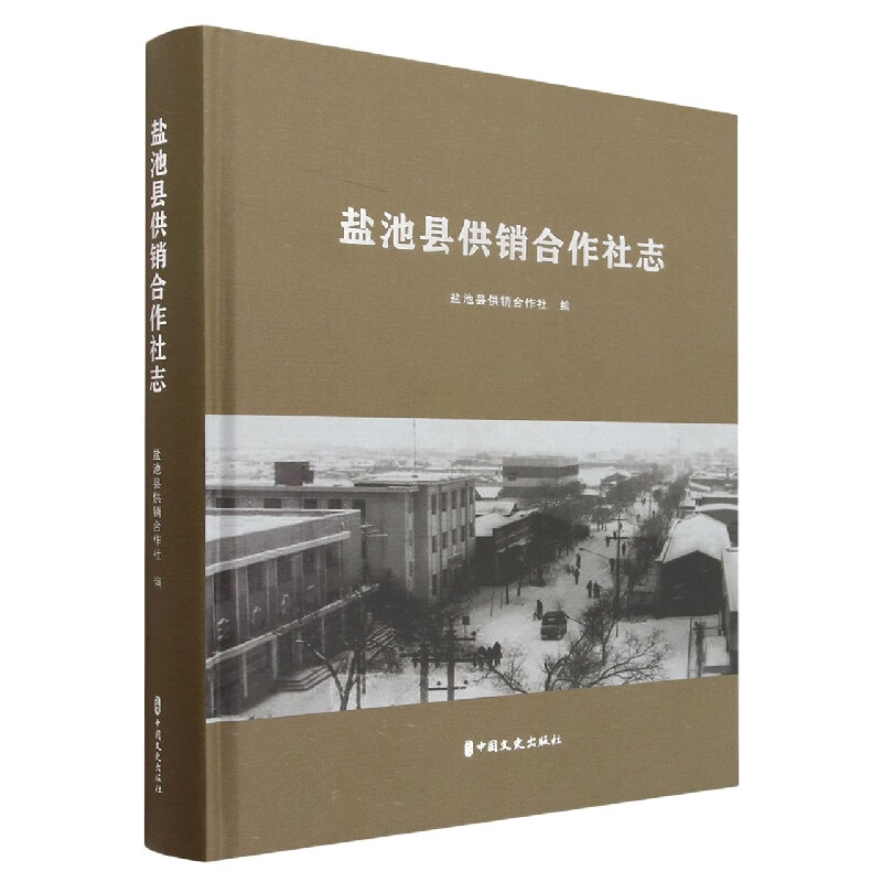 盐池县供销合作社志(精)