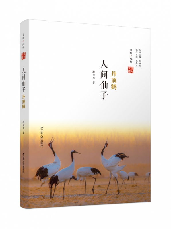 人间仙子：丹顶鹤
