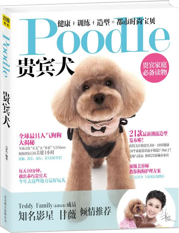 Poodle 贵宾犬 Owl【，放心购买】