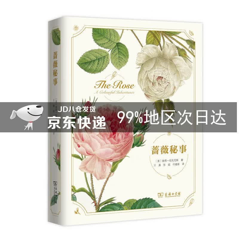 蔷薇秘事