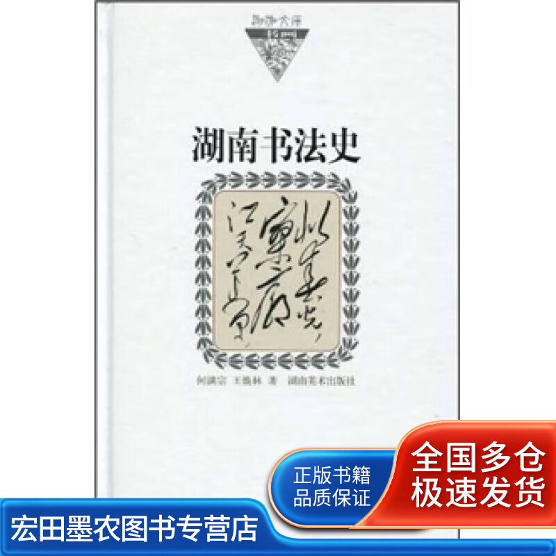湖南书法史【好书】