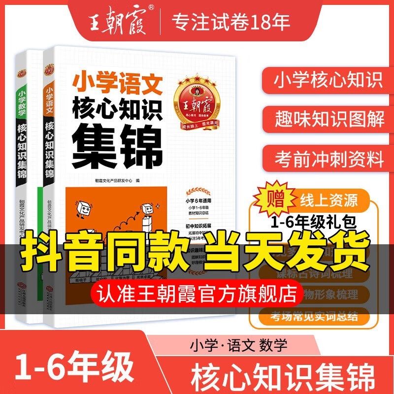 2023王朝霞小学核心知识集锦语文数学英语基础知识大盘点一二三四五六年级小学知识大全考试总复习小升初衔接工具书 语文+数学-2本