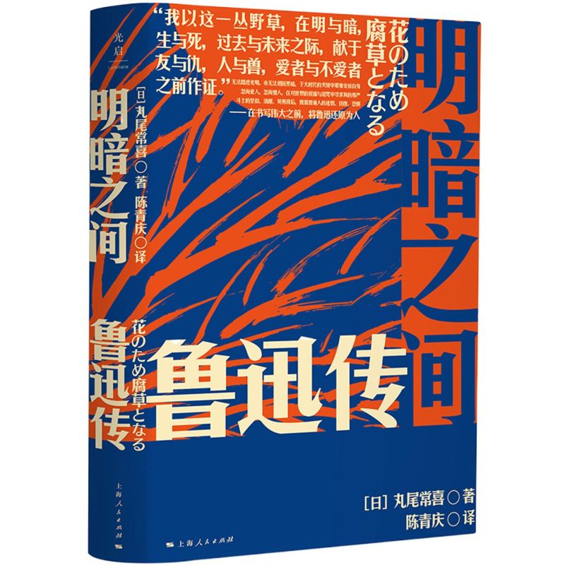 明暗之间(鲁迅传)(精)