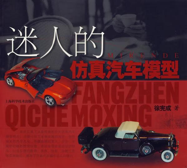 迷人的仿真汽车模型
