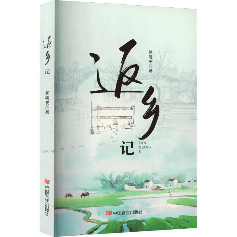返乡记小说  图书