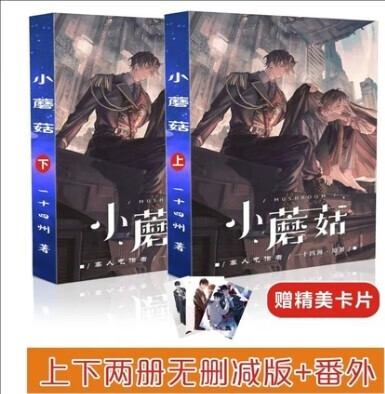 小蘑菇 一十四洲作品 无删减小说实体书完结版含番外未删全套