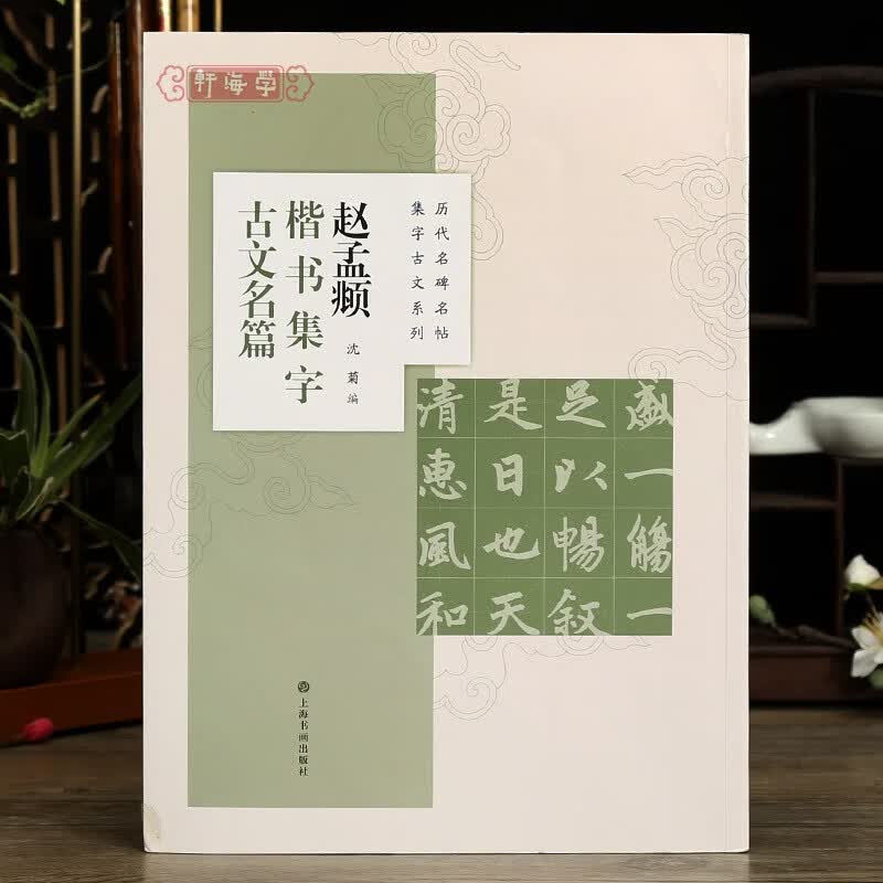 学海轩 共8篇 赵孟頫楷书集字古文名篇 沈菊 历代名碑名帖集字古文系列 兰亭序醉翁亭记陋室铭等 赵体毛笔字帖 上海书画出版社